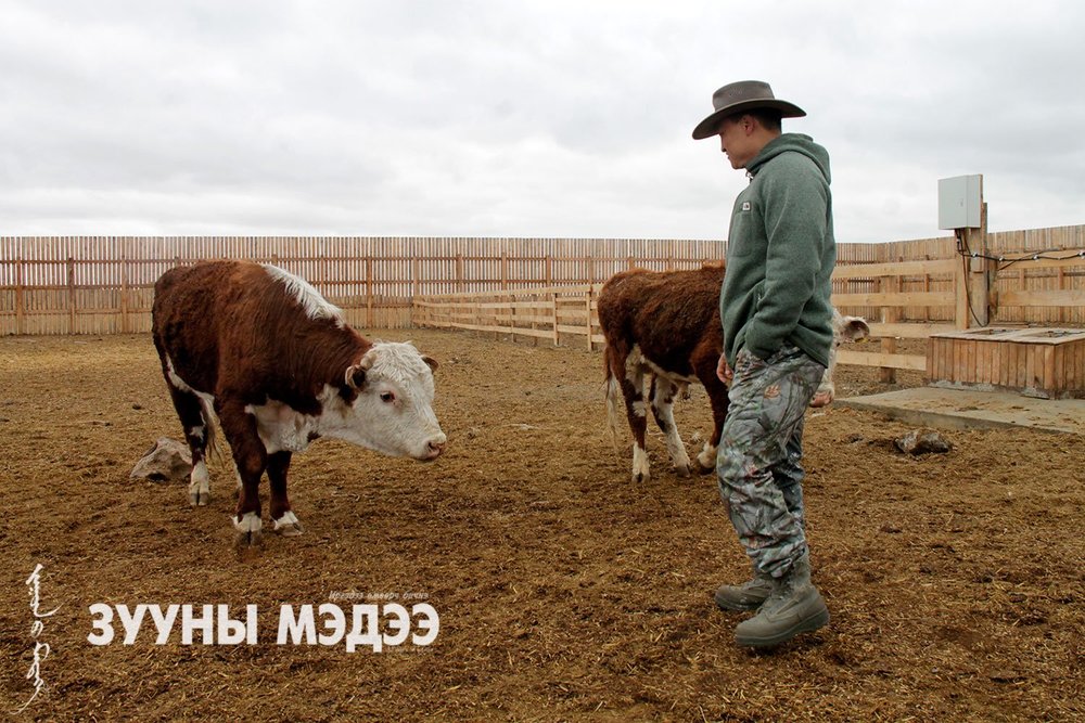 Т Энхбаяр Эрчимжсэн мал аж ахуйг хөгжүүлэхэд бодит дэмжлэг хэрэгтэй байна